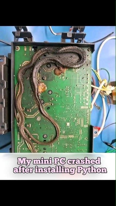 You Shouldnt Do That 😮‍💨asmr Pc Shorts Python Shots Youtube