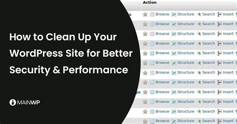 How To Clean Up WordPress Site For Better Performance MainWP WordPress Management