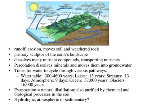 PPT Nutrient Cycles PowerPoint Presentation Free Download ID 460370