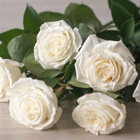 Playa Blanca White Roses Elegant White Rose Arrangement Le Bouquet