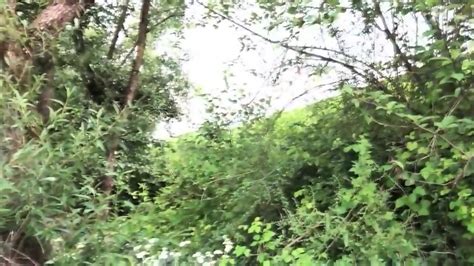 Bruada Hat Drausst Mei Fotzn Gleckt Und Eini Gfickt Eporner