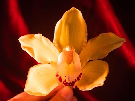 Normal Things That Can Happen After Sex Business Insider