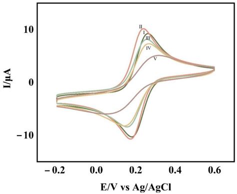 Electrochemical Dna Biosensors With Dual Signal Amplification Strategy For Highly Sensitive Hpv