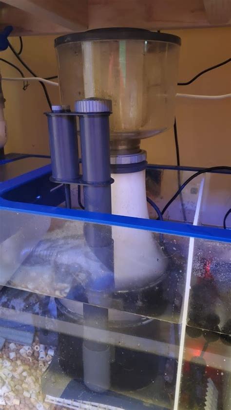 Hob Overflows And In Sump Skimmer Reef2reef