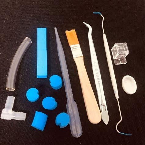 Ant Kit 10 In 1 Set Acrylic Ant Farm Tools Desertcart India