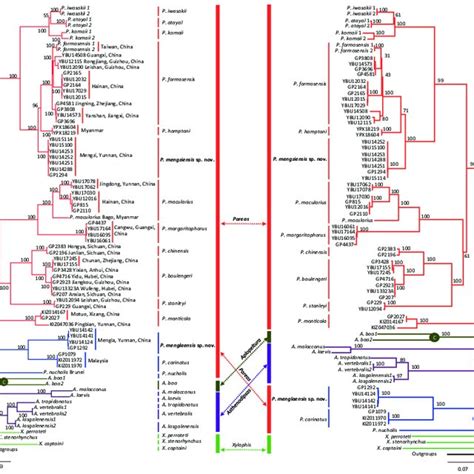 Bayesian Inferenceleft And Maximum Likelihoodright Trees Of The Download Scientific Diagram