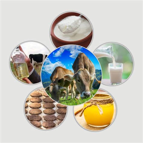 Decoding The Microbiome And Metabolome Of The Panchagavya An