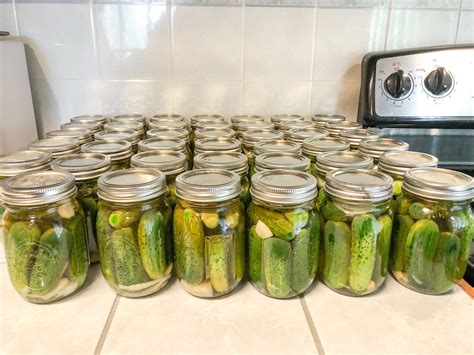 Canning Dill Pickles Instructions At Wilda Talley Blog