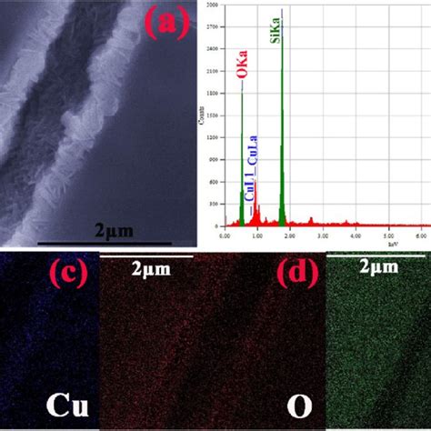 A Area Of Thin Film 2 Containing Copper Nanowire Subjected To Download Scientific Diagram