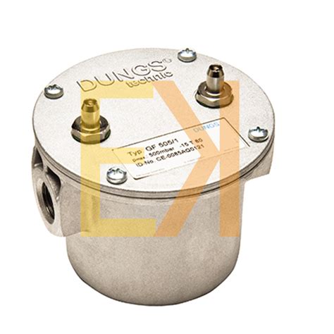 Dungs 66217 Gf 10101 Rp 1″ 1 Bar Gas Filter Elektro Kalori
