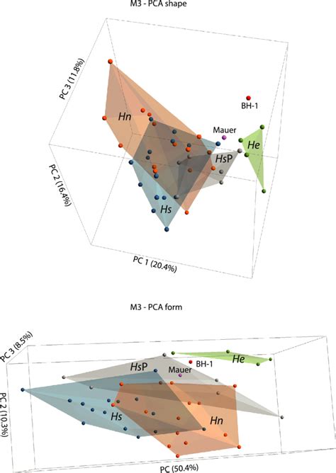 Principal Components Analyses Pca In Shape Top And Form Bottom Download Scientific