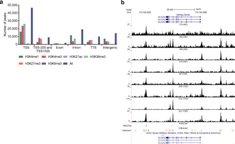 ATAC Seq