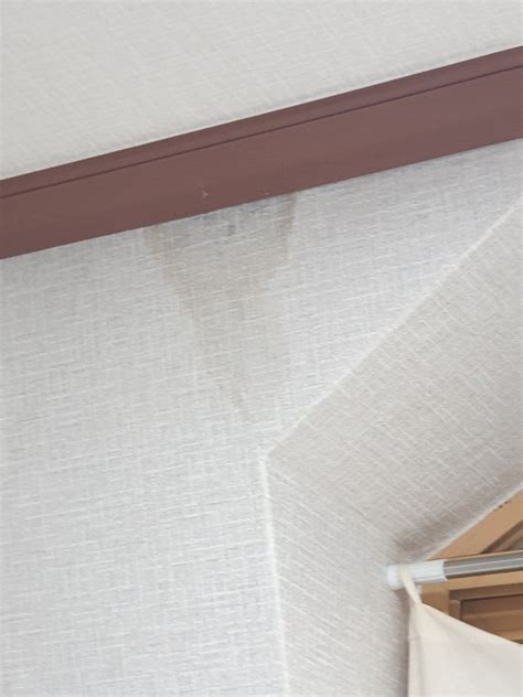 월세 누수 결로 지식in