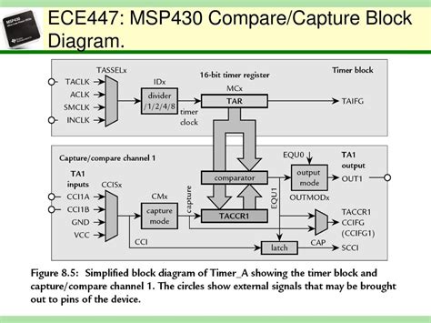 What Is Watchdog Timer In Msp430