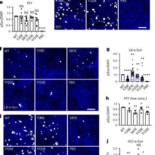 Post translational modifications of soluble α synuclein regulate the amplification of