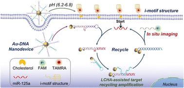 A Separable Nanodevice Enables Multilayer Imaging Of Diverse Biomarkers For Precise Diagnosis