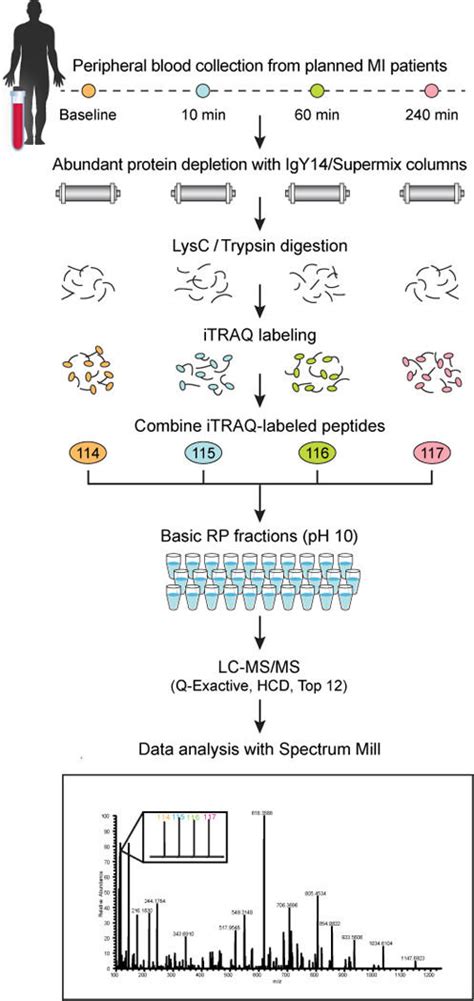Overview Of Multiplexed Workflow For Discovery Proteomics In Plasma
