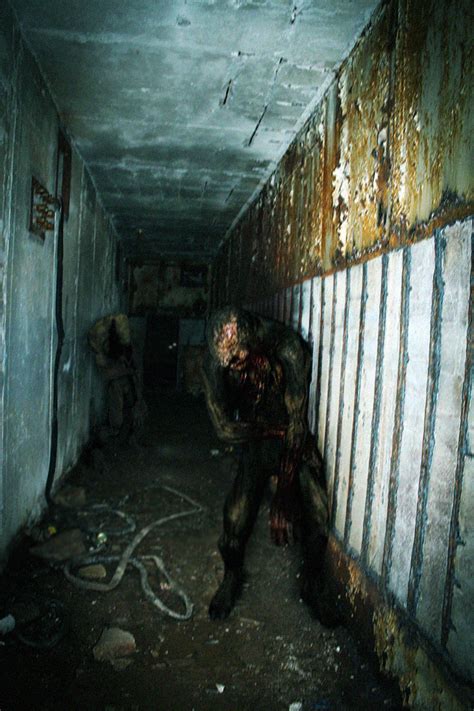 Stalker Anomaly Expedition