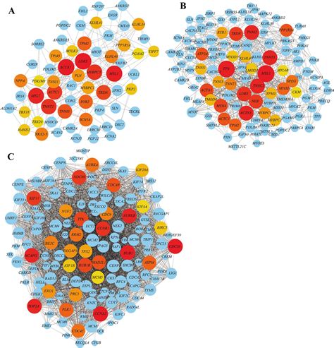Comparative Transcriptome Profiling Across 9 Tissues In 2 Pika Species Provides New Insights And