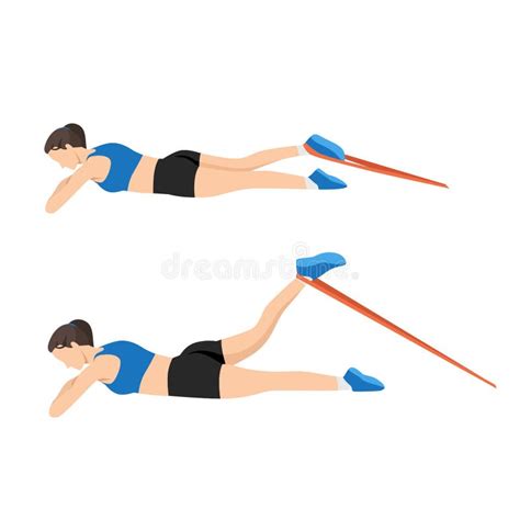 Hamstring Exercise Curl Stock Illustrations 13 Hamstring Exercise Curl Stock Illustrations