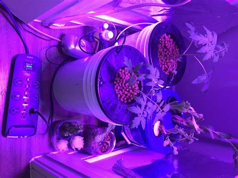 lettuce for life arduino 101 based automated controller for