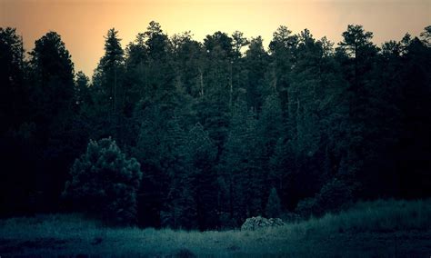 Understanding Agile Software Development Methodologies — Association Of Registered Web Designers