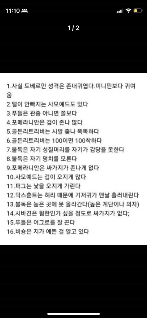 강아지가 ㅇㄱㄹ 끈다는 게 무슨 뜻이야 인스티즈 Instiz 익명잡담 카테고리
