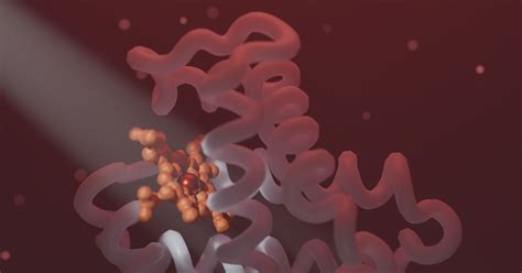 New Algorithm Complements Protein Models International Sciencelink