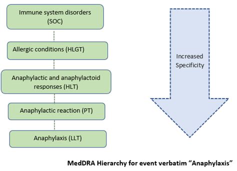 Icsr Case Processing Public Safety And Vigilance