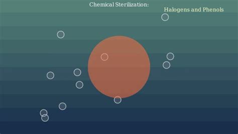Prokaryotic Dna Replication Animated Video Biology Notes Online