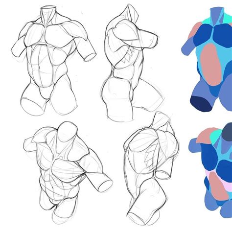 150 Ideas De Bocetos Cuerpo Humano En 2025 Bocetos Técnicas De