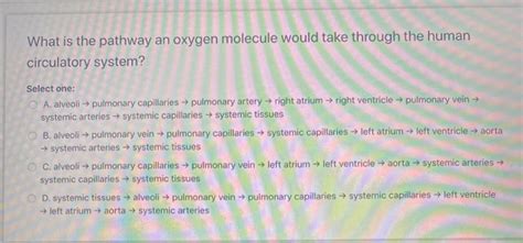 Solved What Is The Pathway An Oxygen Molecule Would Take Chegg
