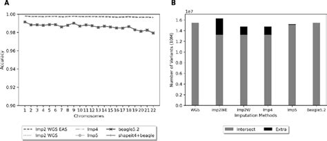 Imputation Accuracy Rates And Number Of Imputed Variants A Accuracy Download Scientific