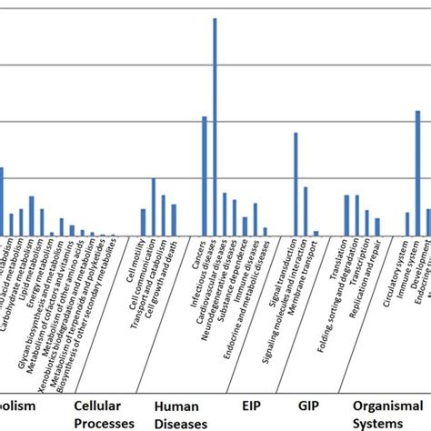Kegg Categories Of Unigenes All Unigenes Were Annotated Using Kegg Download Scientific Diagram