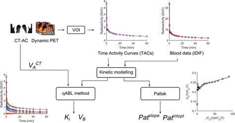 Overview Of The Kinetic Modelling Approaches Implemented In This Paper Download Scientific