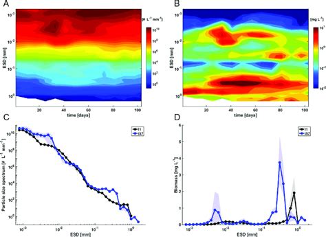 Temporal Development Of Size Distribution In The Control Mesocosms Download Scientific Diagram