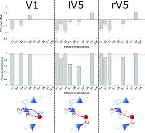 Intrinsic Connectivity Modulations The Figure Reports The Group Level