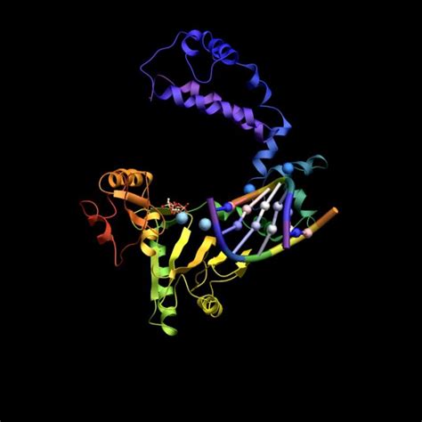 Paresh Priyadarshan Rana On Linkedin Molecular Workshop Of Cell Youtube
