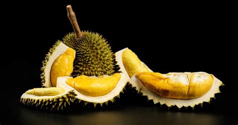 របៀបដាំដុះទុរេន និងវិធីសាស្ត្រធ្វើឲ្យទុរេនទទួលបានទិន្នផលខ្ពស់ នាទីកសិកម្ម Kaksekam Time