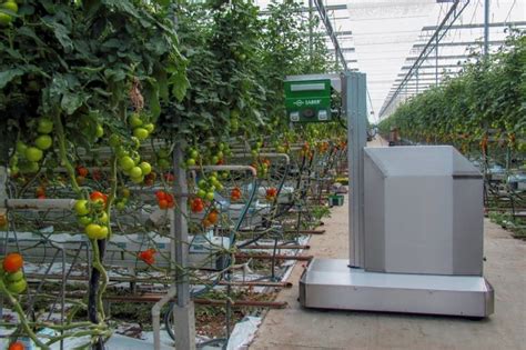 Mobile Robot For Plant Disease Detection Using Iot Presentation