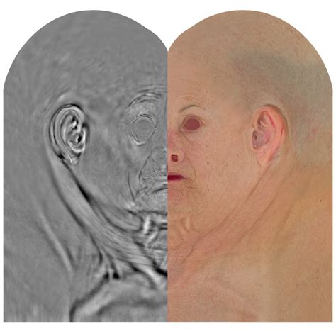 Female 14 Hd Displacement Map