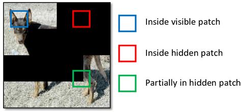 There Are Three Types Of Convolutional Filter Activations After Hiding Download Scientific