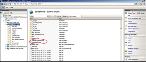 Hosting Wcf In Sharepoint 2010