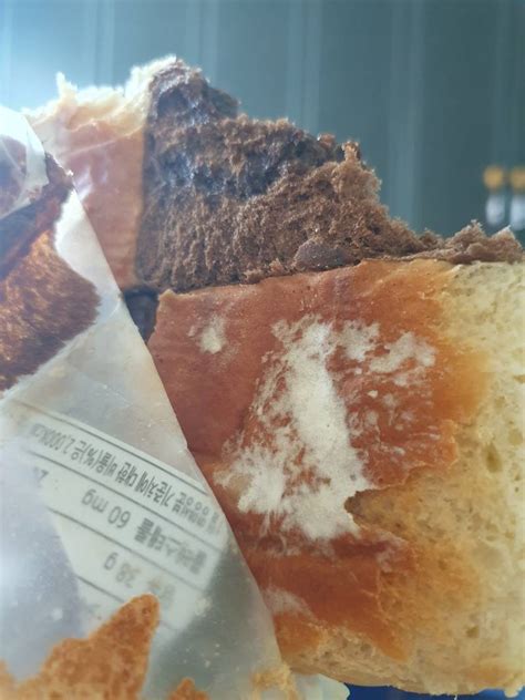 이거 빵에 곰팡이 핀 건지 봐주라 ㅠㅠㅠ 인스티즈 Instiz 일상 카테고리