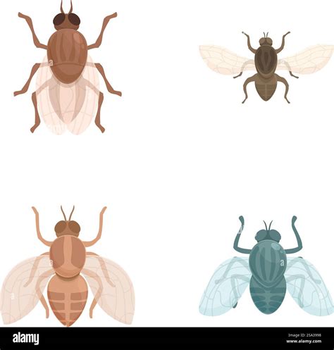 Collection Of Four Stylized Cartoon Flying Insects On A White Background Suitable For