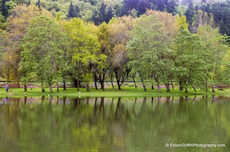 Creating Dynamic Landscape Photographs