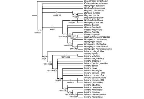 Tree Produced By Bayesian Inference Bi Analysis Based On The Matrix