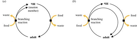 Figure 1 From The Ecology Evolution Continuum And The Origin Of Life Semantic Scholar