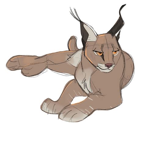 Febroary 19 Caracal By Bingybongo On Deviantart