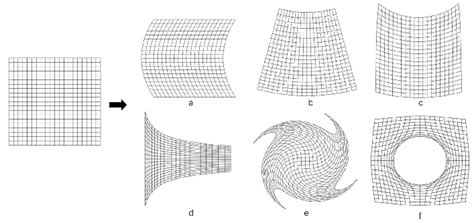 1 Locally Volume Preserving Deformation Primitives A Shear B